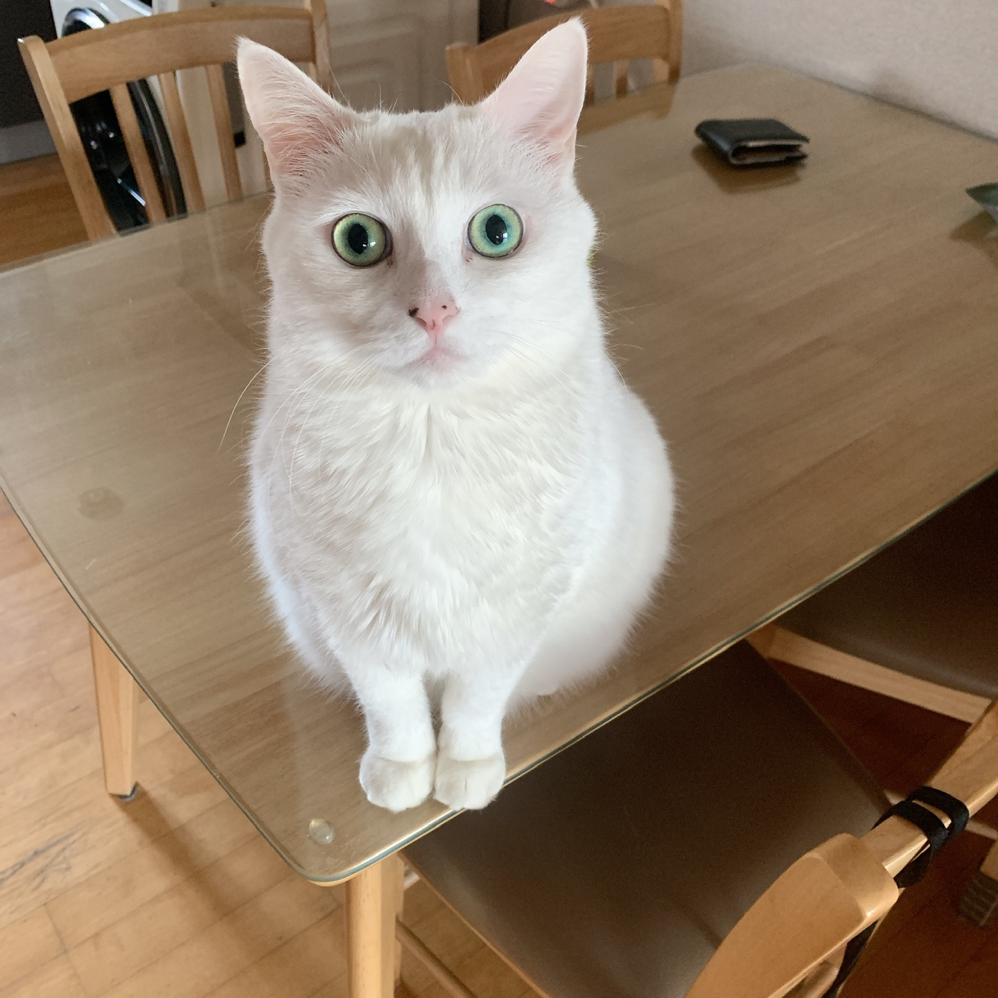 kihong0427 (유기홍) / 작성글 - velog