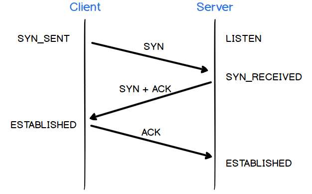 TCP와 UDP