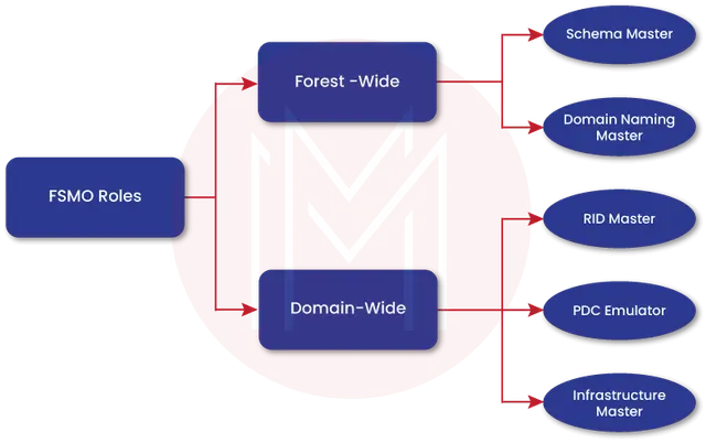 FSMO 역할 및 기능