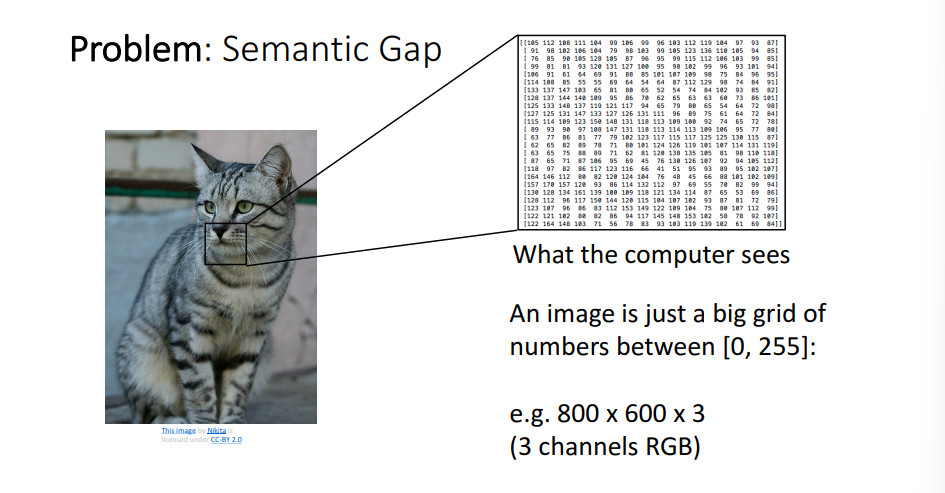 EECS 498-007 / 598-005 Deep Learning for Computer Vision (Lecture 2 : Image Classification)