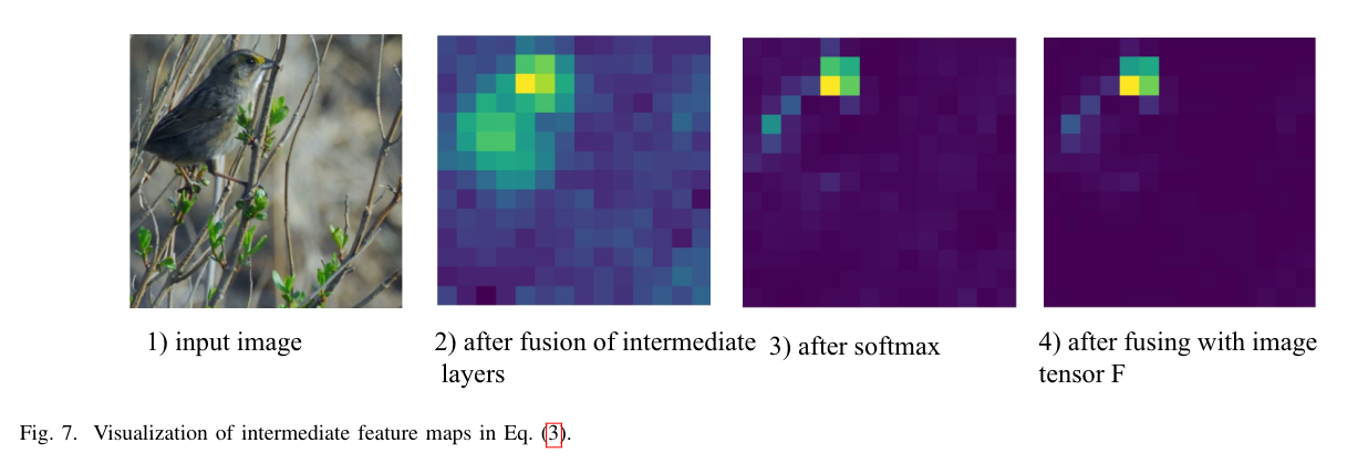 Boosting Zero-shot Learning via Contrastive Optimization of Attribute ...