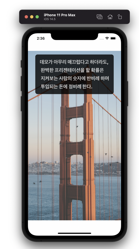 [SwiftUI] Image에 대하여
