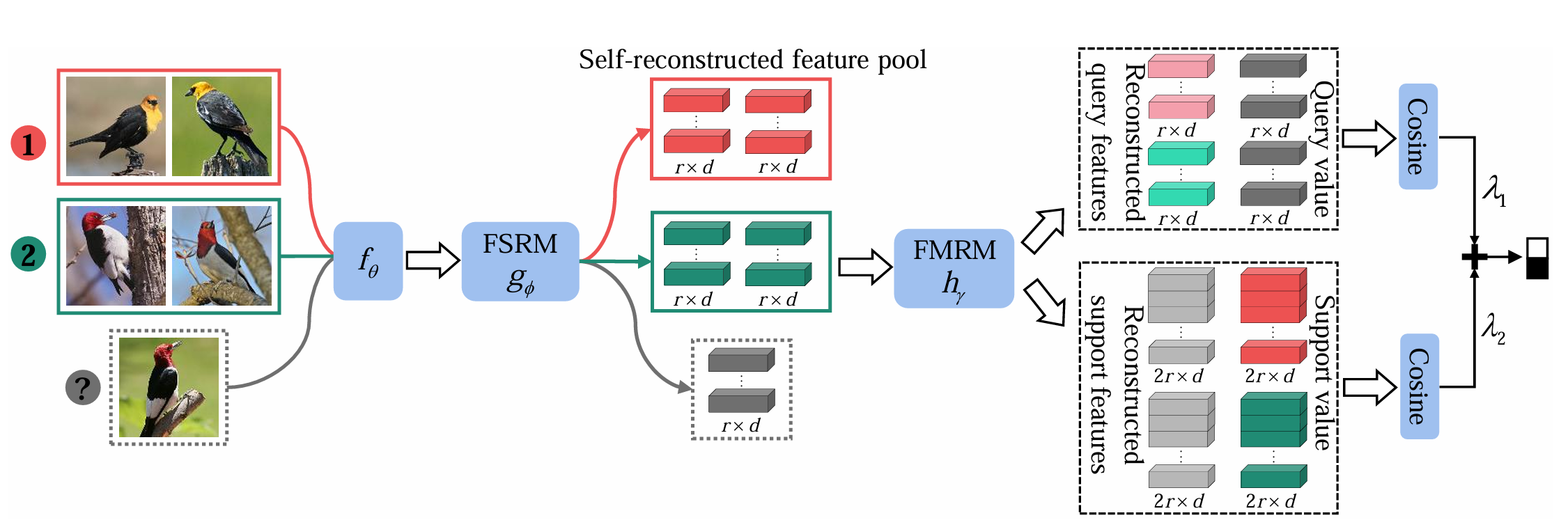 Bi-directional Feature Reconstruction Network for Fine-Grained Few-Shot ...