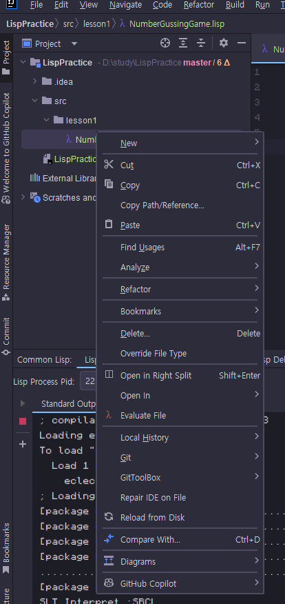 Lisp 인텔리제이 윈도우 개발 환경 셋팅하기