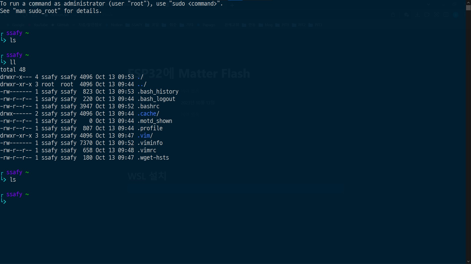 Windows에서 esp32 Matter 개발 환경 설정