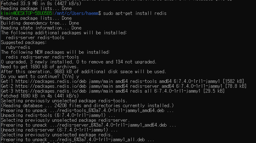 Window 10 redis 설치 및 설정