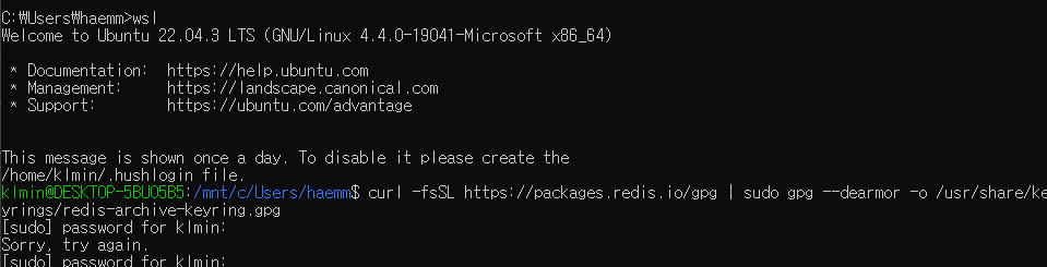 Window 10 redis 설치 및 설정