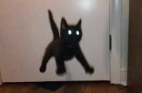 [Unreal Engine 5] Crypt Raider 02