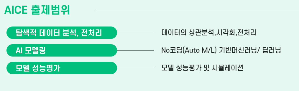 AICE BASIC 자격증 취득 후기