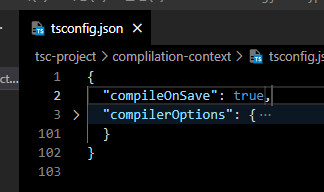 [TIL]220502 - typeScript(tsconfig 옵션 종류)