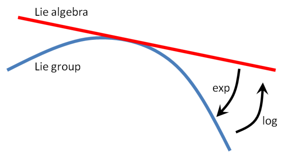 Lie Group & Lie Algebra