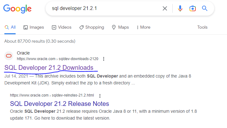Oracle Sql Developer 설치
