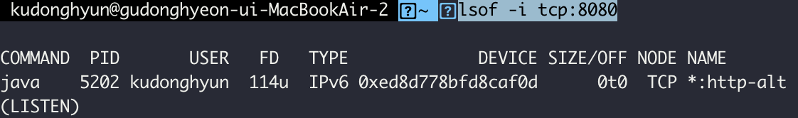 [Mac] Web server failed to start. Port 8080 was already in use.