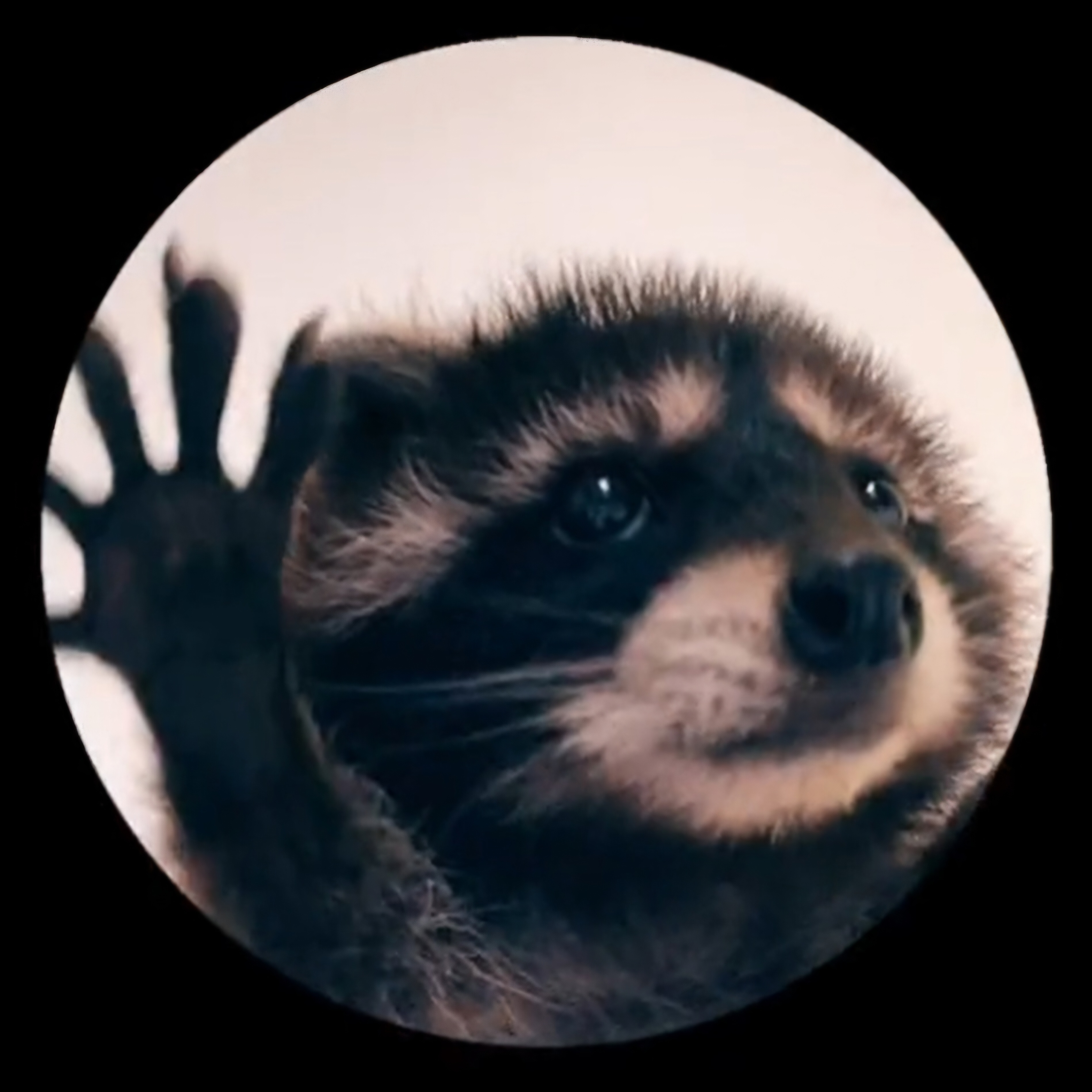 [Velog] Velog 작성연습