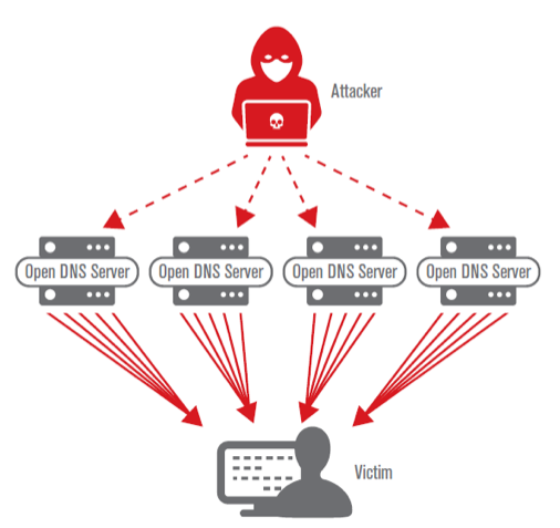 네트워크 보안 장비 - DDoS 방어 장비