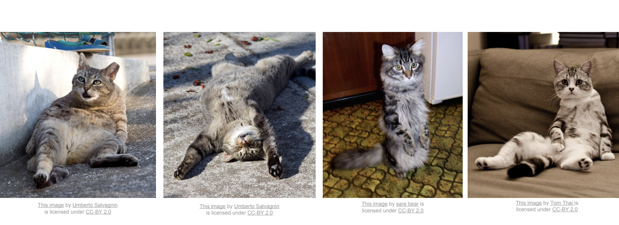 [ML&DL] CS231n_Lecture1 & 2