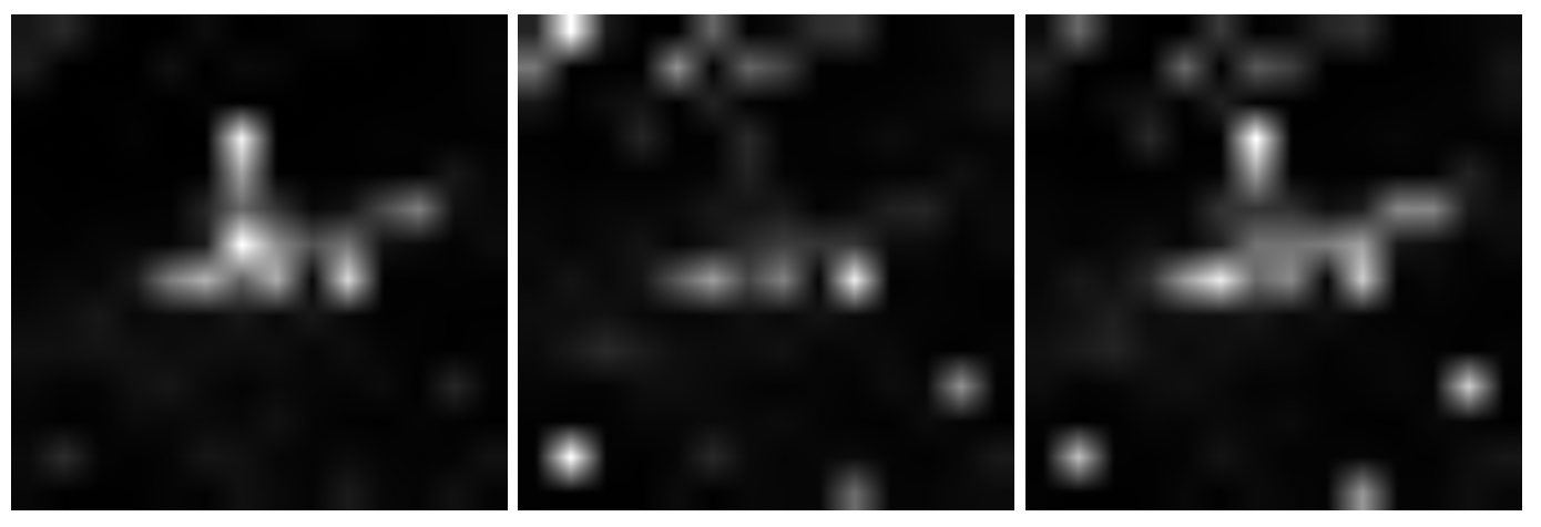 [DL/XAI] "Exploring Explainability for Vision Transformers"