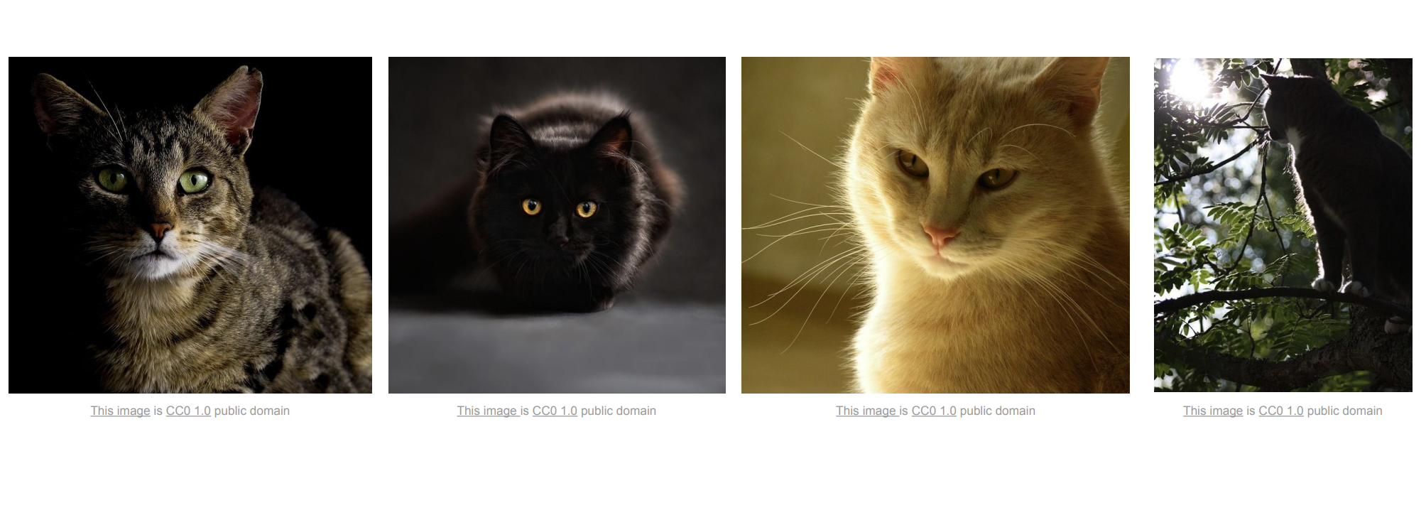 [ML&DL] CS231n_Lecture1 & 2