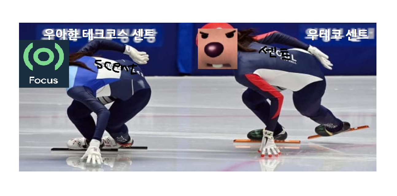 useRef와 UX - focus 이동