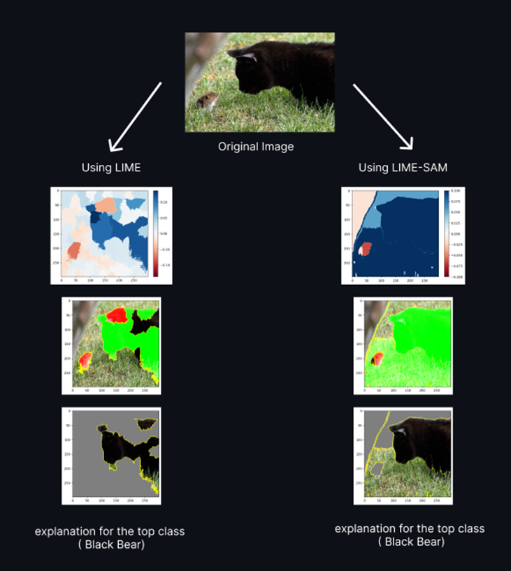 LIME(Local Interpretable Model-agnostic Explanations) BackGround