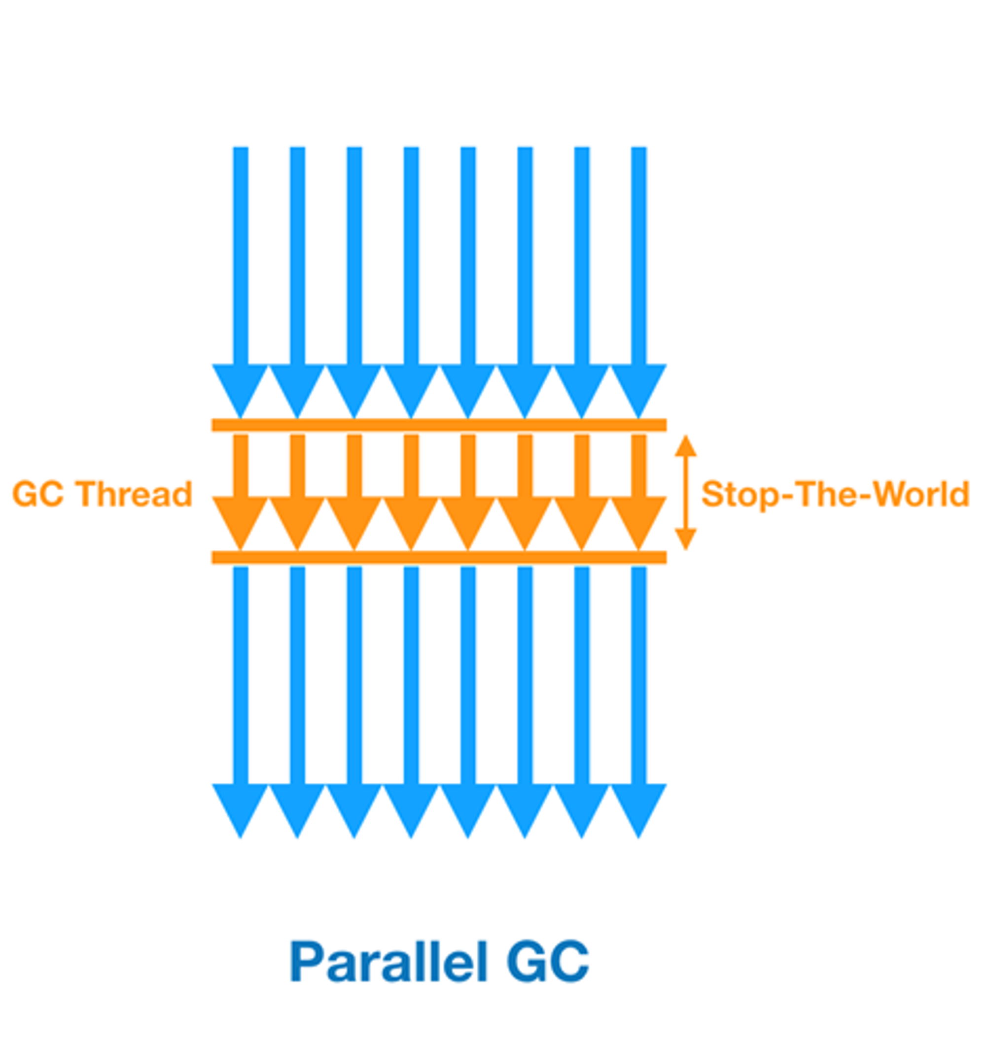 자바 기초 지식 - GC