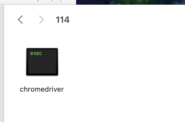 selenium driver 관리 및 유용한 기능