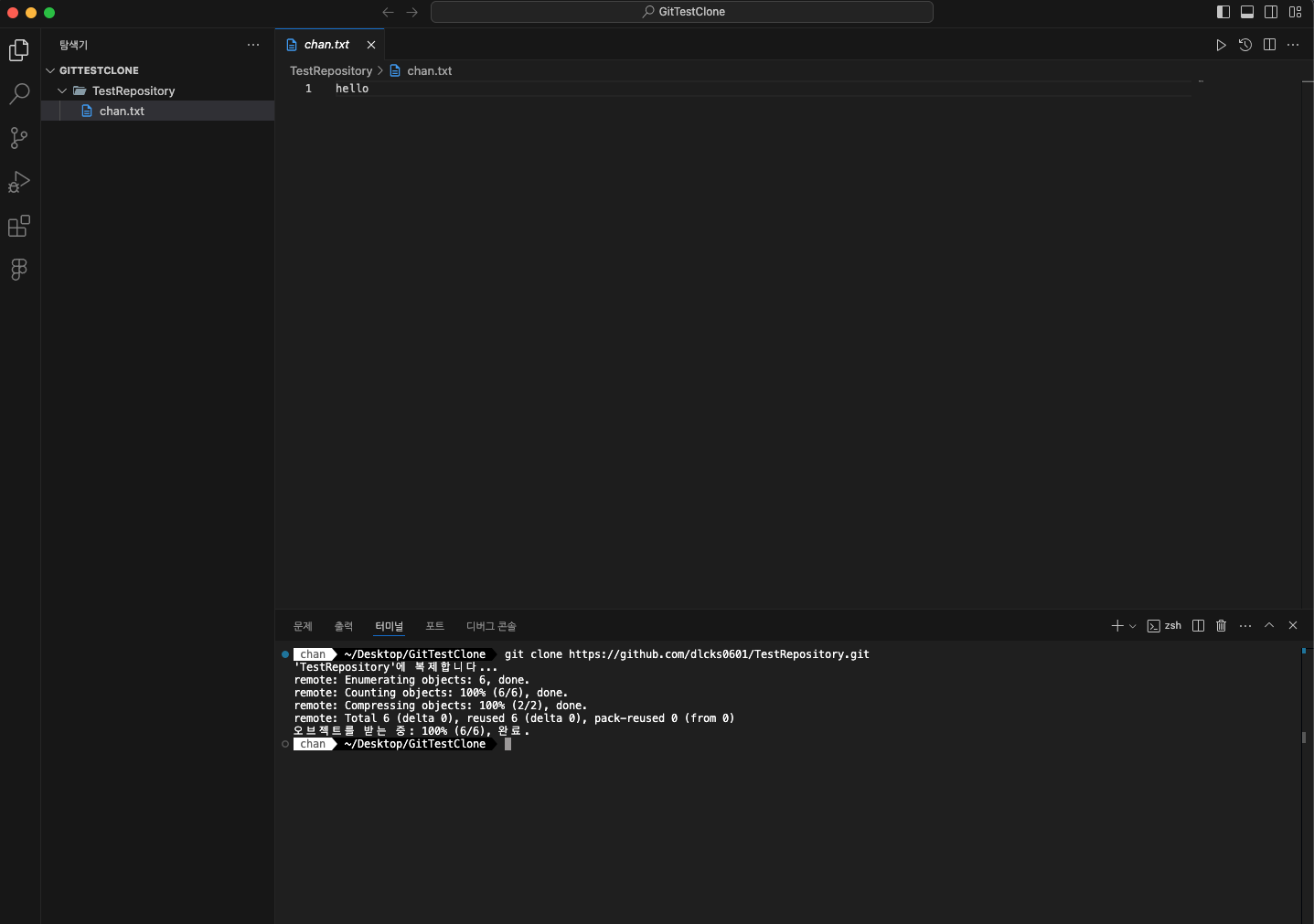 Github repository, branch
