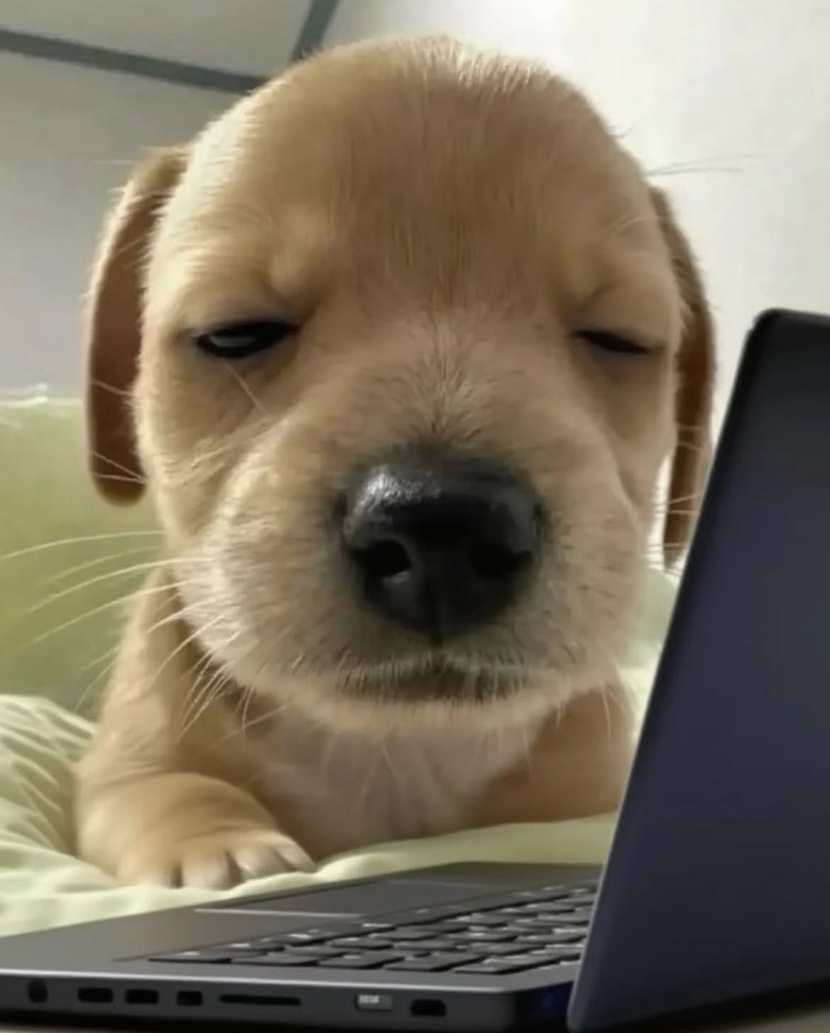 [NLP] Integrating Extractive and Abstractive Summarization: A Hybrid ...