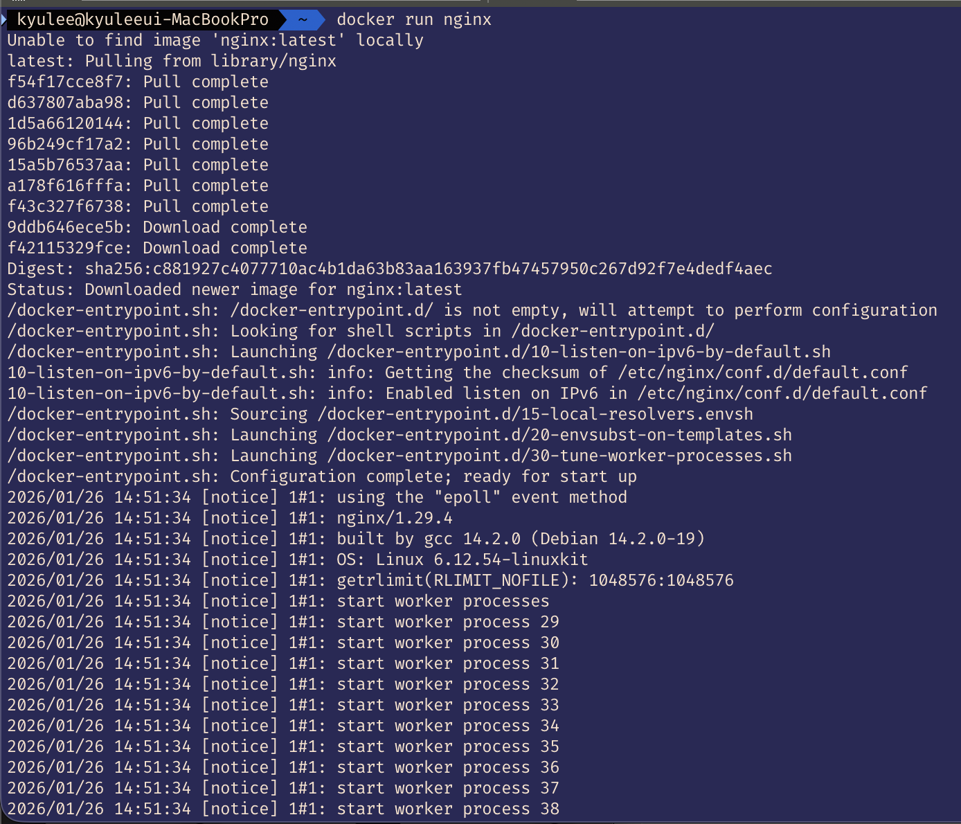 [Docker 🐳] CLI 익히기
