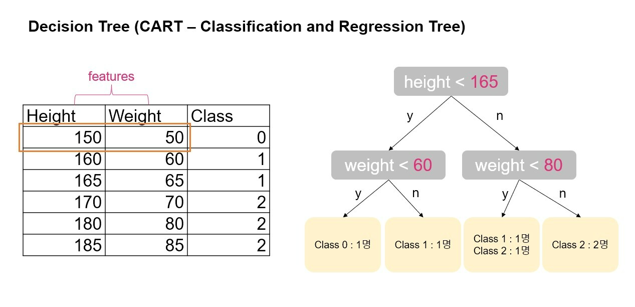 Decision Tree