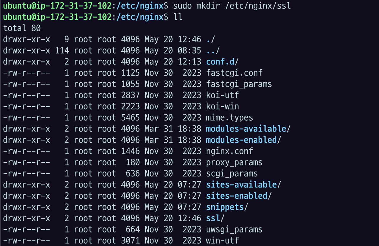 [AWS] nginx - SSL 인증서 인증하기