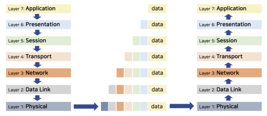[CSAPP] 11장 네트워크 프로그래밍