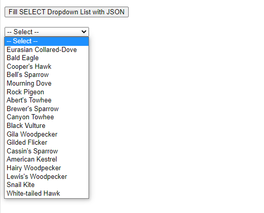 jquery - ajax를 사용해 select dropdown list 를 json 데이터로 동적 연결하는 방법