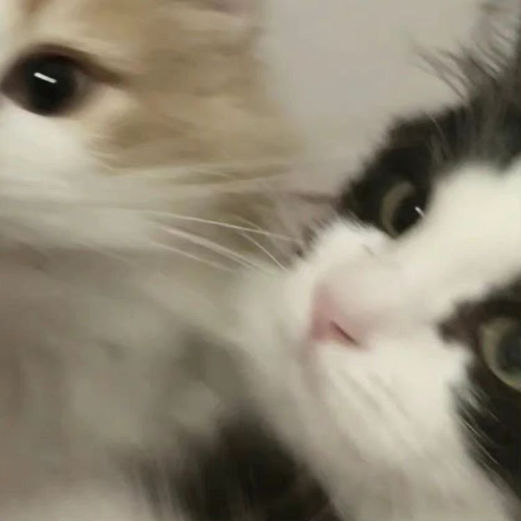 [PYTHON] BAEKJOON 17404 - RGB거리2 (G4)