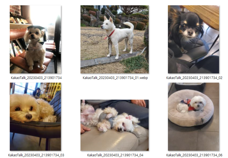 Out Of Distribution Ood Detection 란