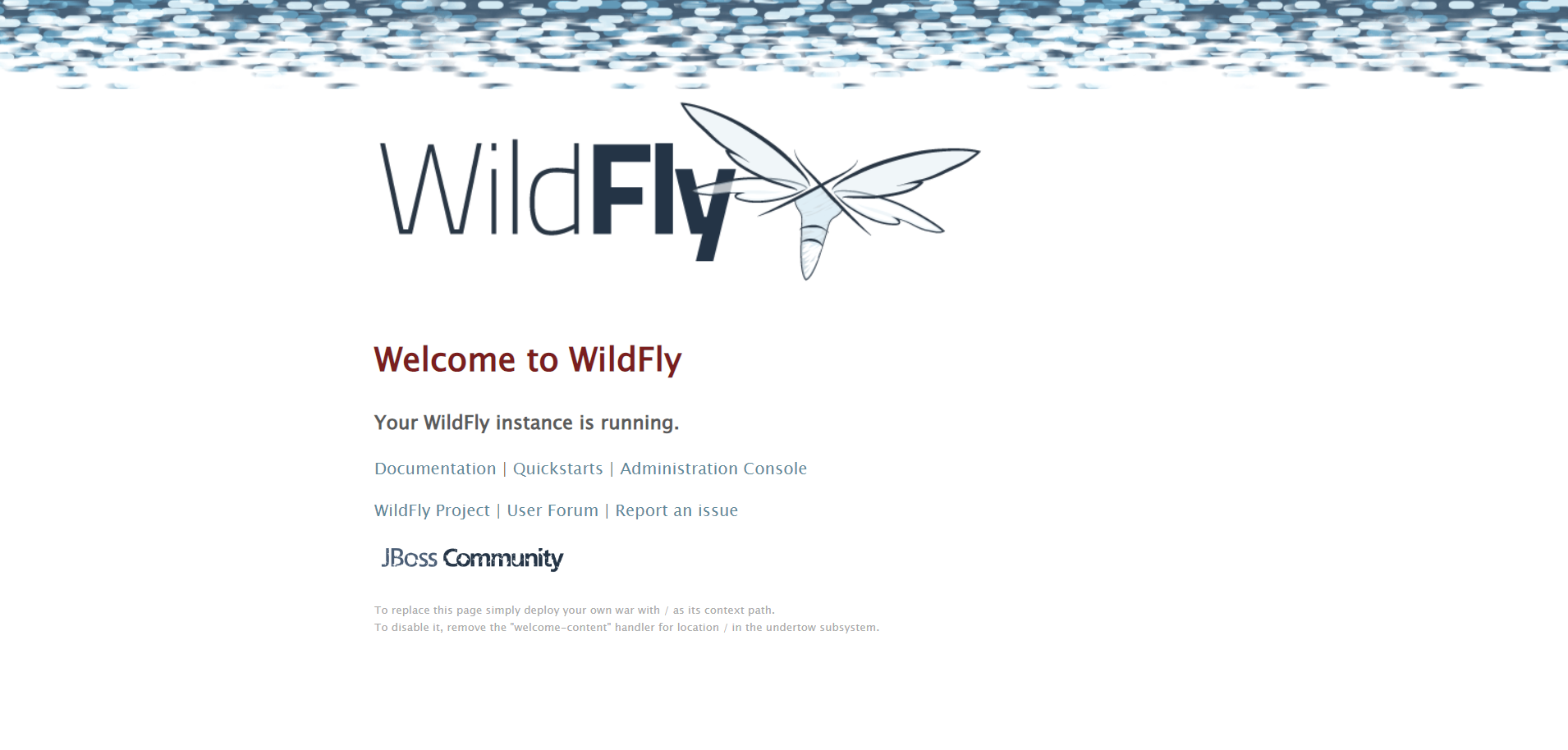 [Linux]WildFly 29.0.1 Final 설치