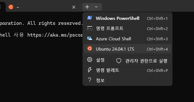 window에서 oh my zsh 설치 및 오류 해결