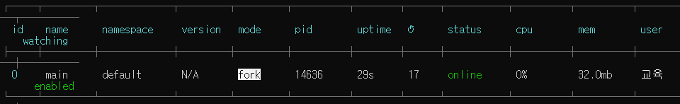 Node.js (5) - pm2 npm