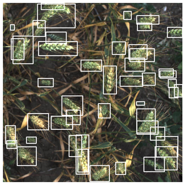 Global Wheat Detection (FasterRCNN Train)