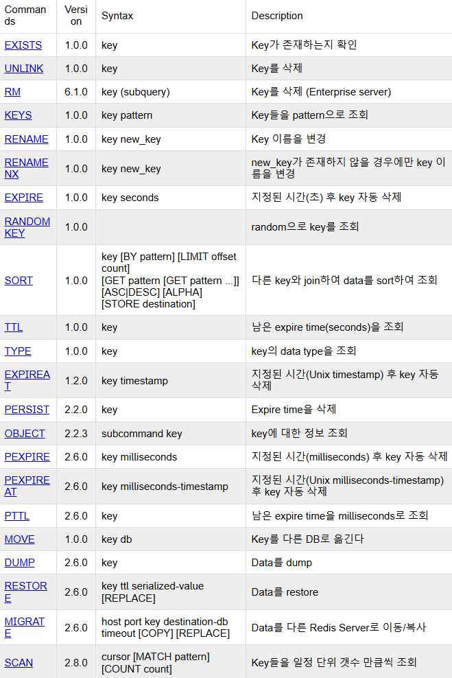 Redis Insight(레디스 GUI Tool)