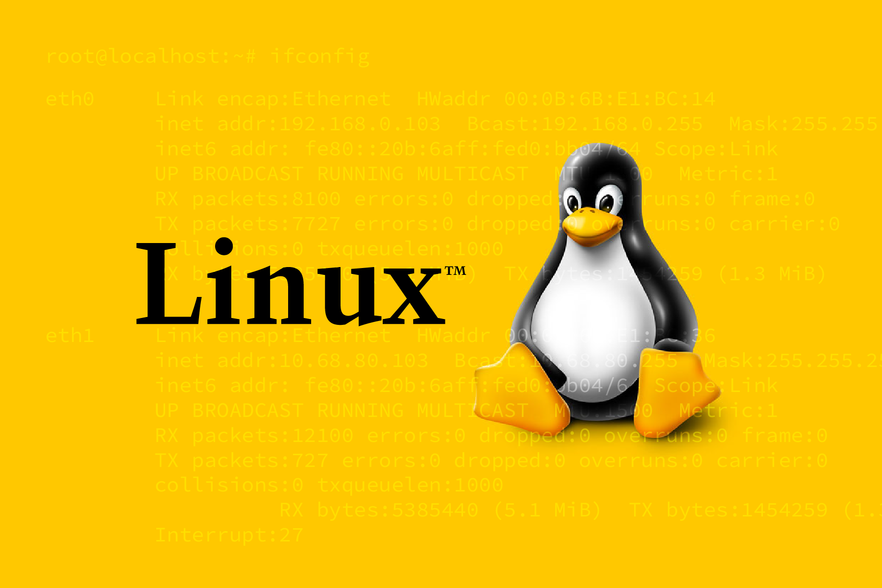 Shell Shell Script 