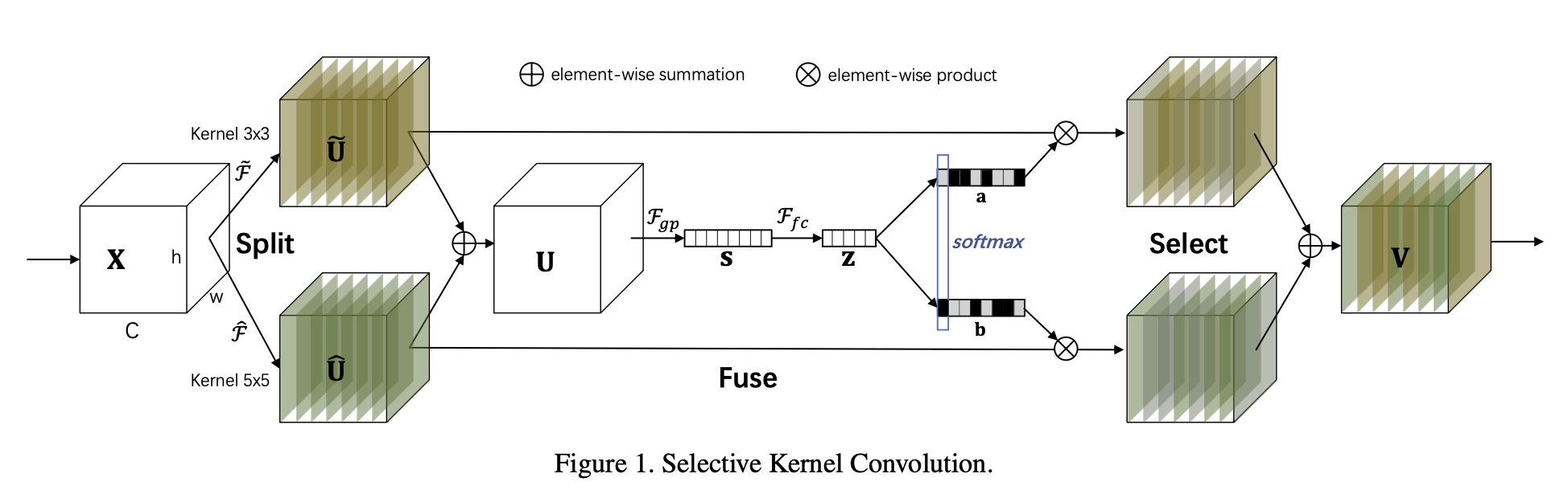 [SKNet] Selective Kernel Networks