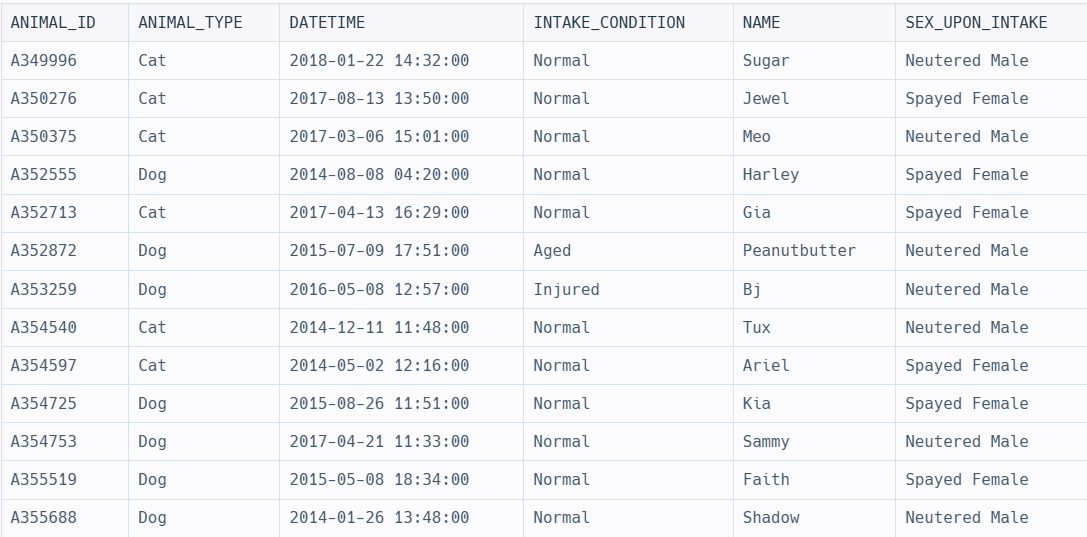 programmers MySQL. Level 0-1