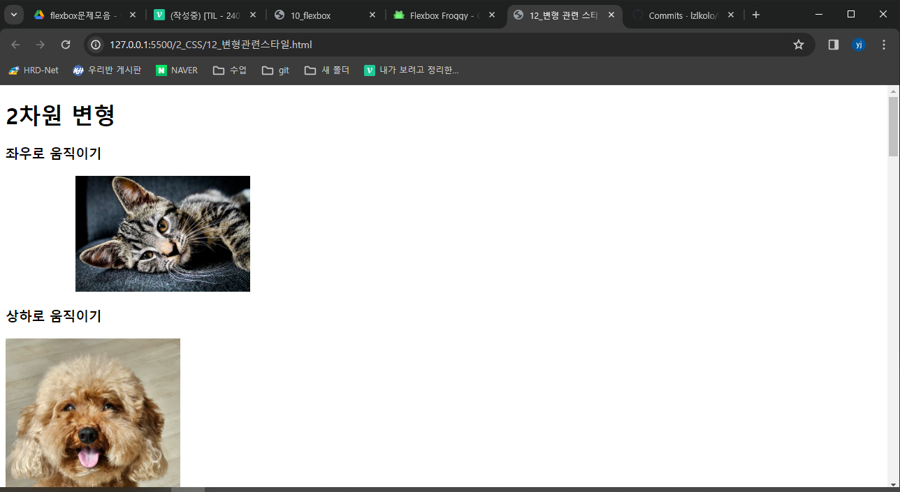 시리즈 | WebFront - lzlkolo.log