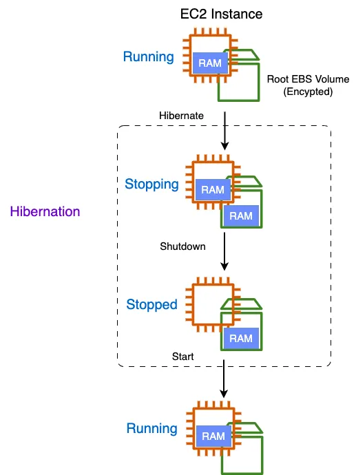 AWS SAA 자격증 준비 : EC2 심화