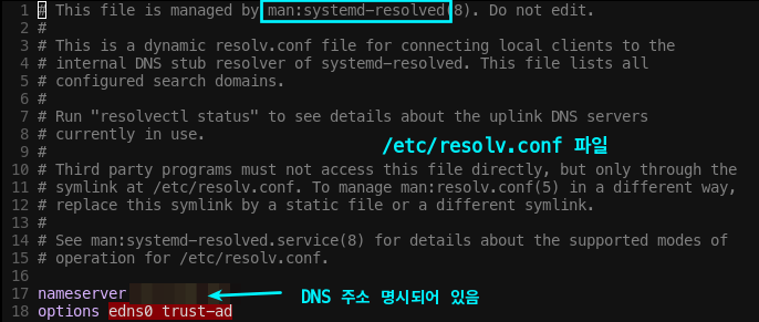 systemd가 관리하는 network : DNS, systemd-resolve