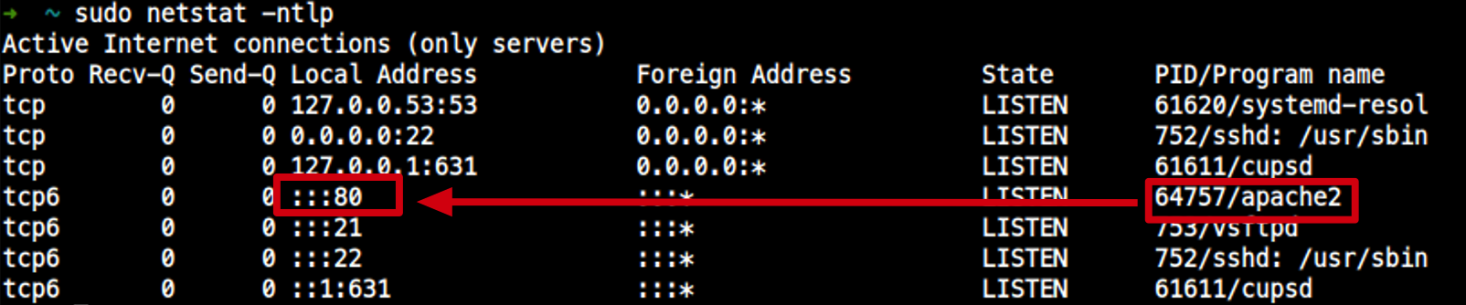 [Network] HTTP - Apache, lighttpd, PHP, MariaDB