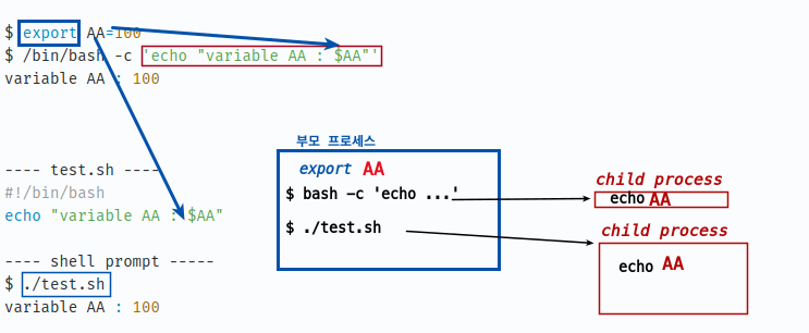 export / set / unset / declare / typeset