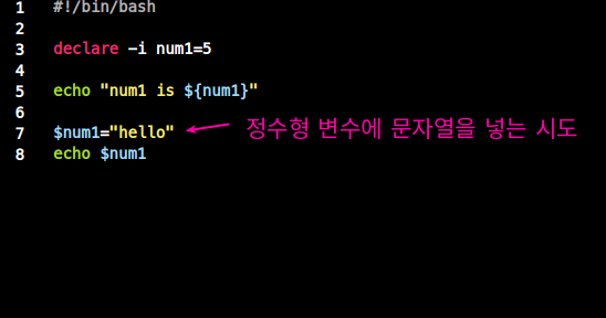 export / set / unset / declare / typeset